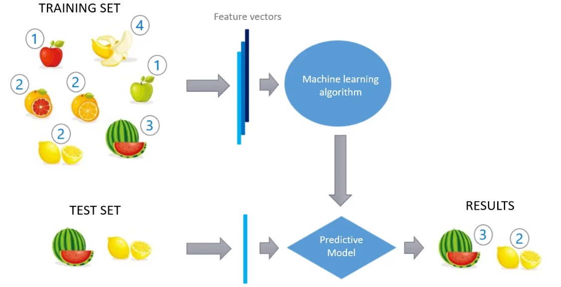 An Overview of Supervised Learning