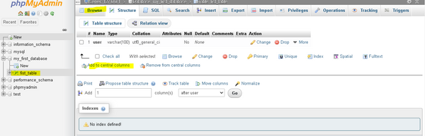 Set up and work with MySQL on Windows with XAMPP